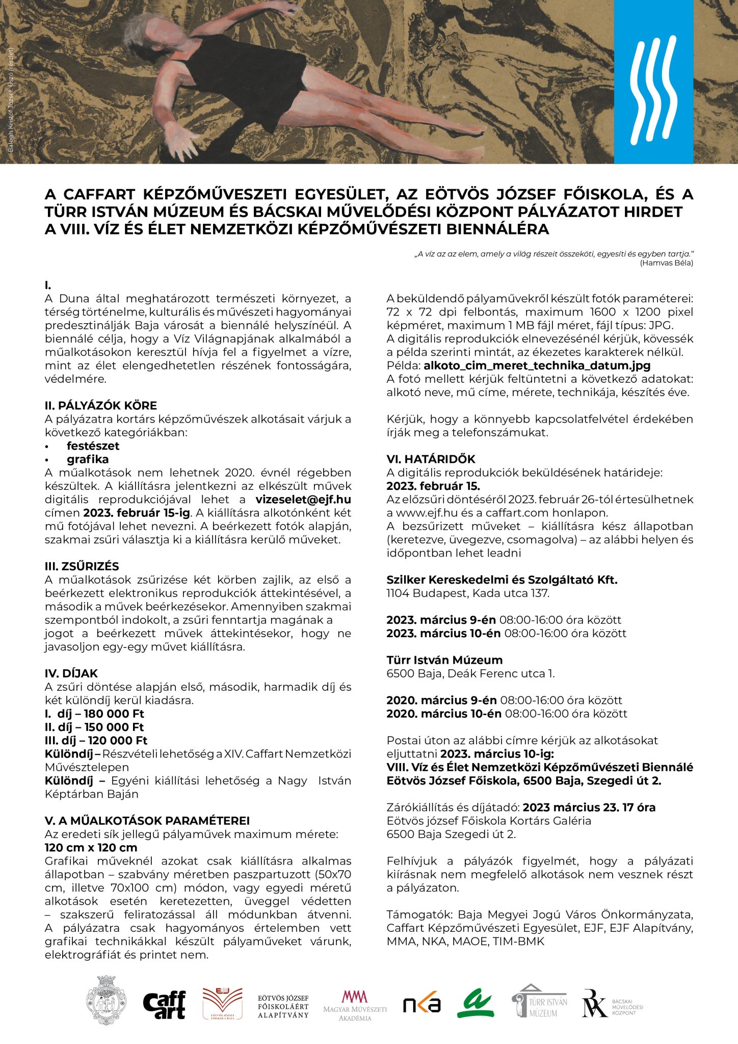 VIII. VÍZ ÉS ÉLET NEMZETKÖZI KÉPZŐMŰVÉSZETI BIENNÁLÉ Pályázati kiírás ...